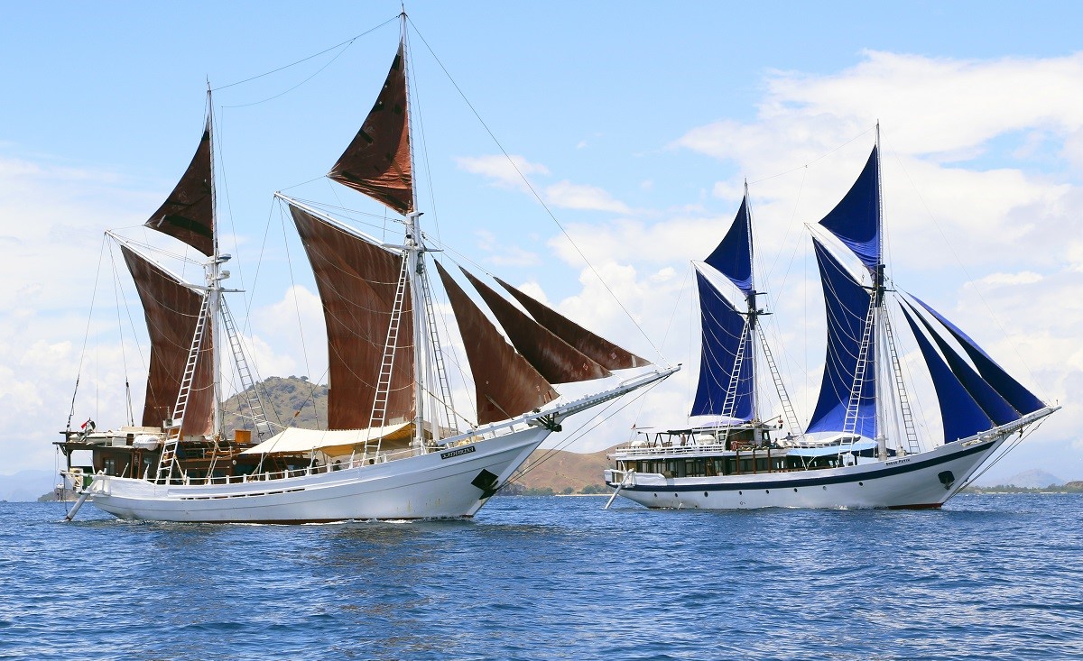 Sailing Adventure in Footsteps of Famous Victorian Naturalist - Our Man ...