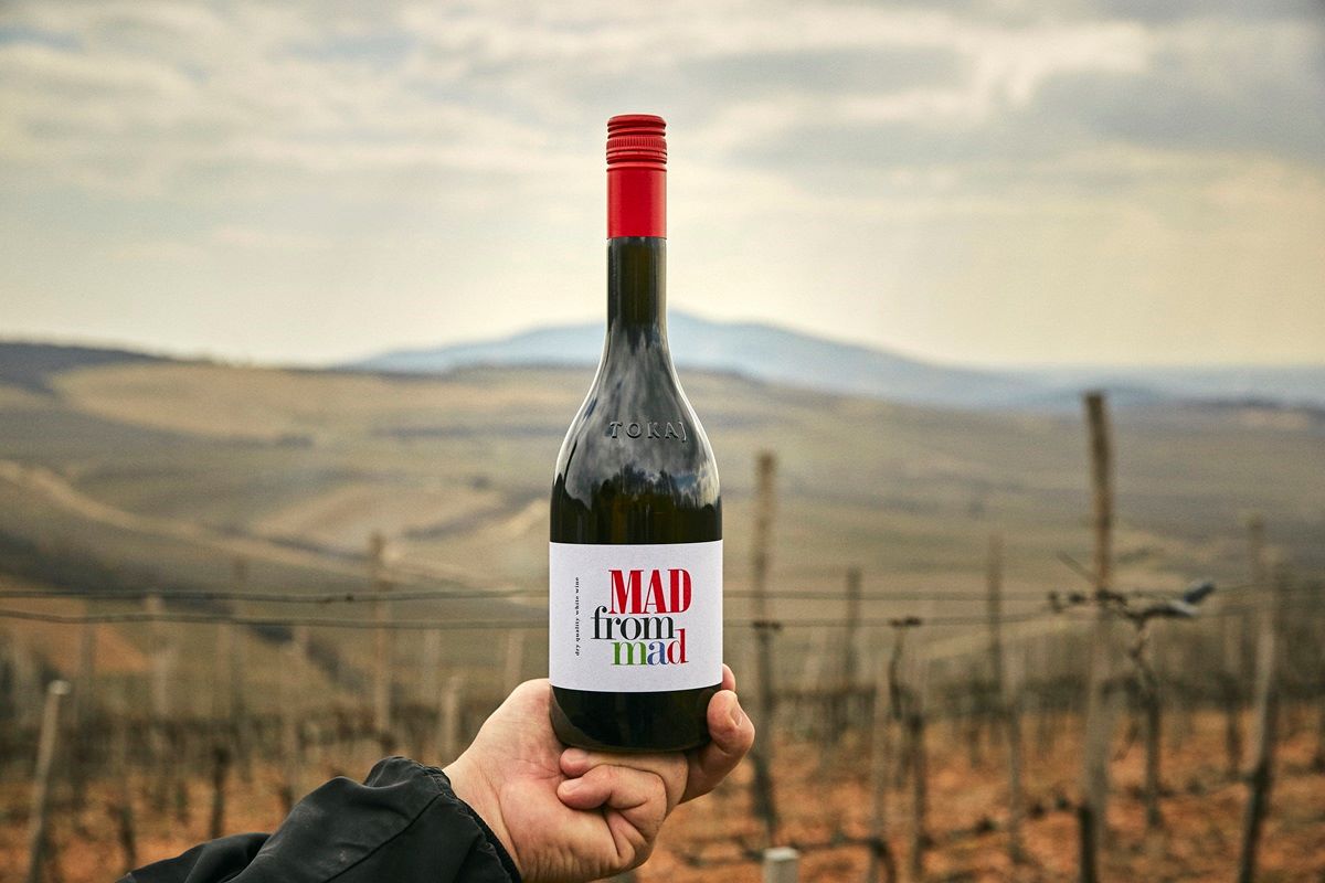 Fanfare For Furmint - Our Man On The Ground Travel and Lifestyle