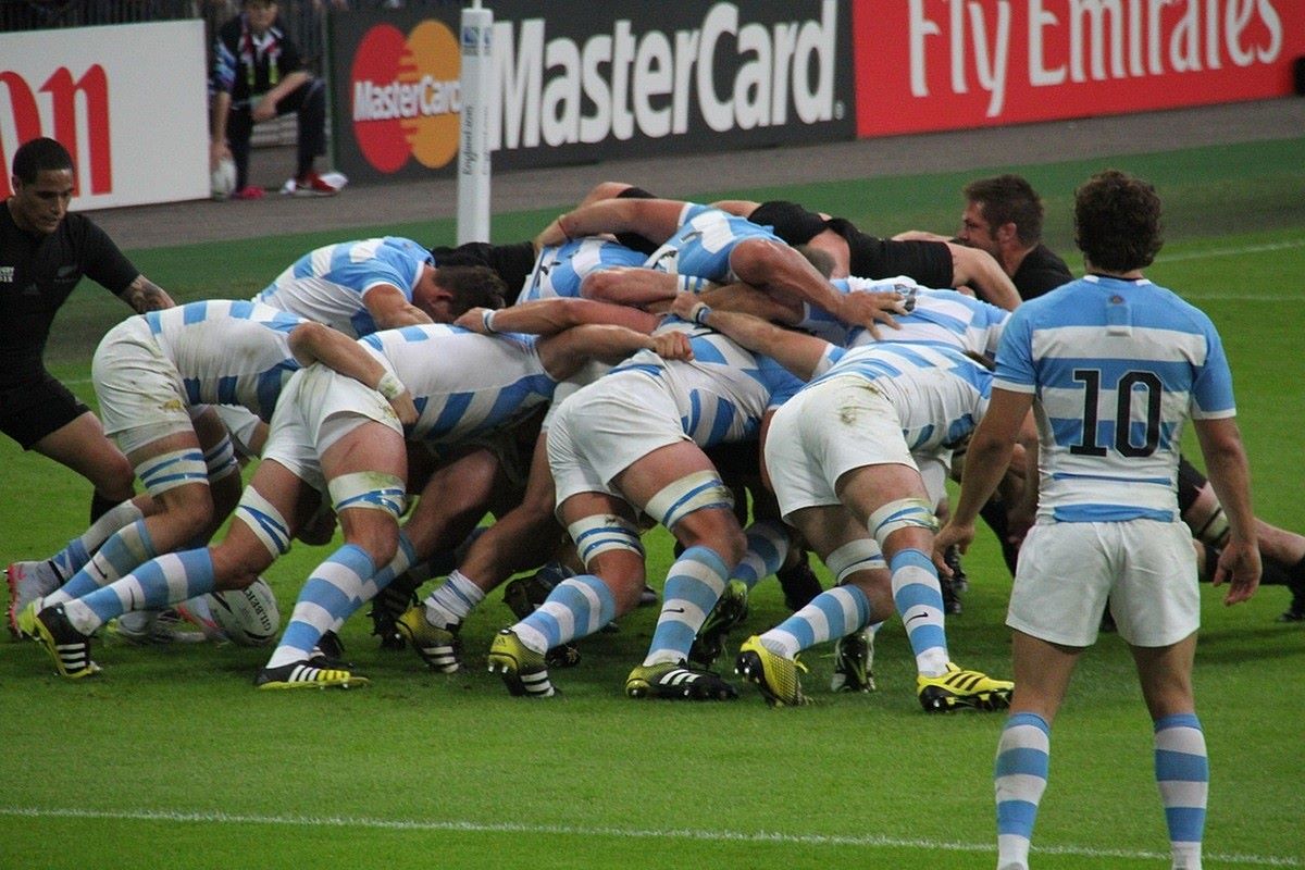 Rugby Autumn Internationals Travel Guide 2024 - Our Man On The Ground ...